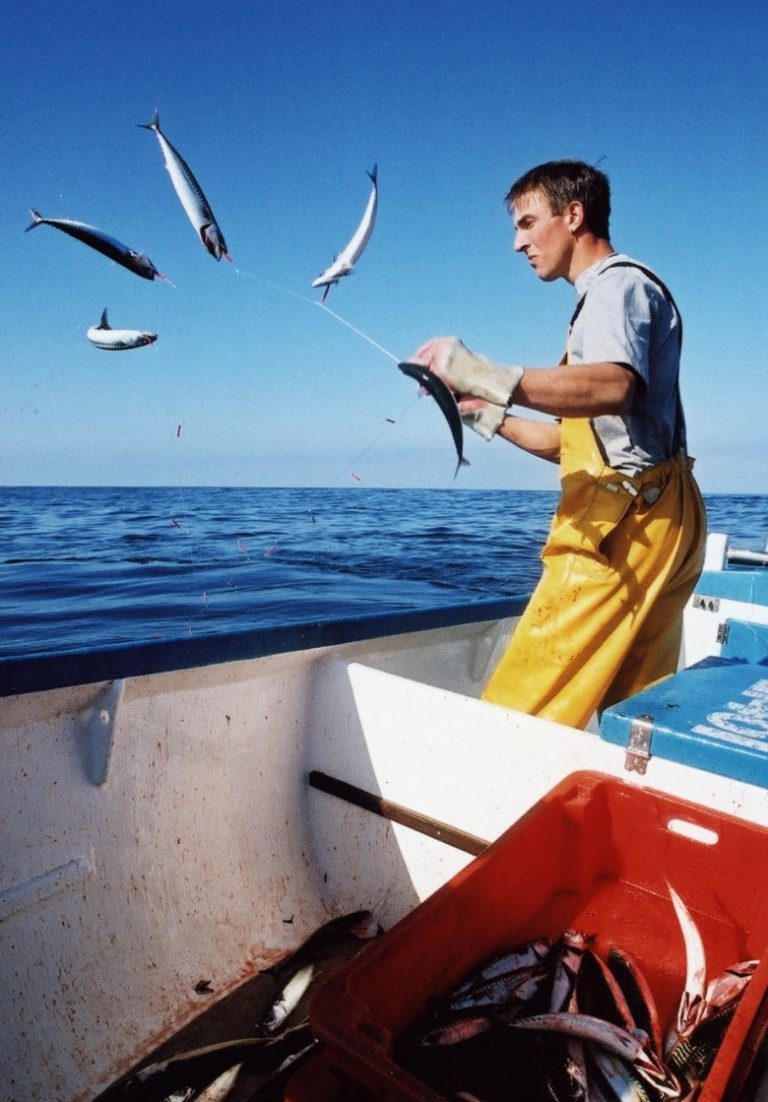 About handline fishing | South West Handline Fishermen's Association